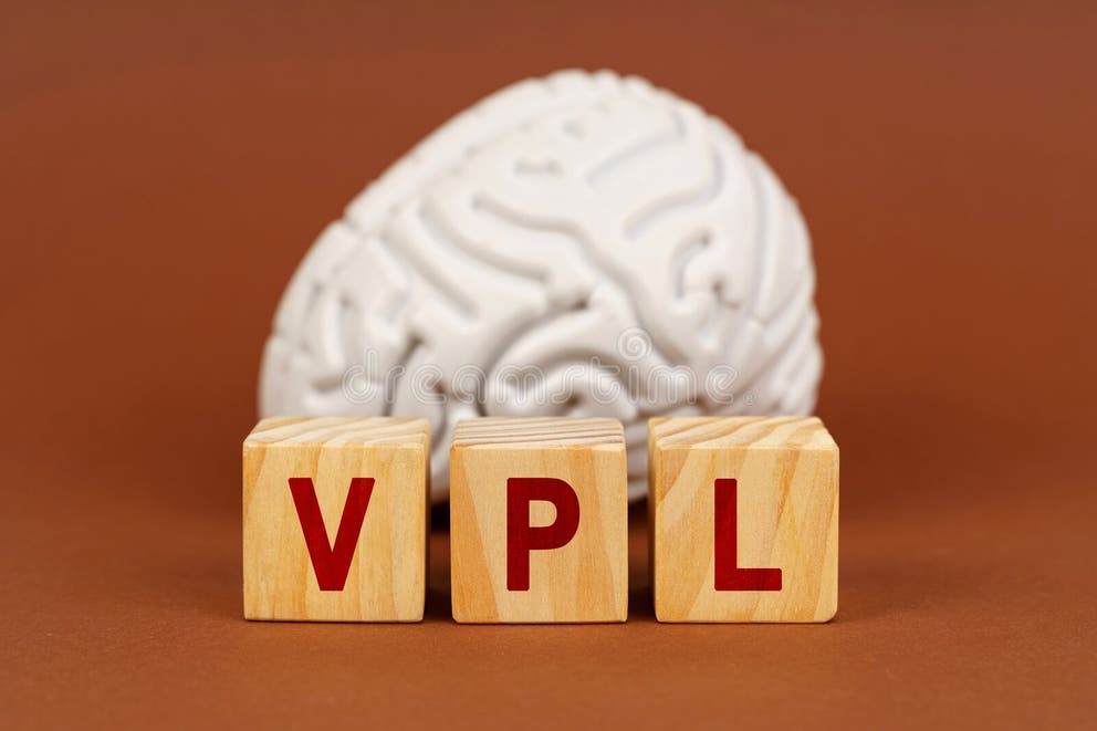 Creative Representation of the Ventral Posterolateral Nucleus with ...