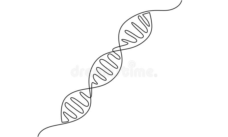 Abstract DNA Continuous Line Drawing. Hand-Drawn Vector Concept for ...