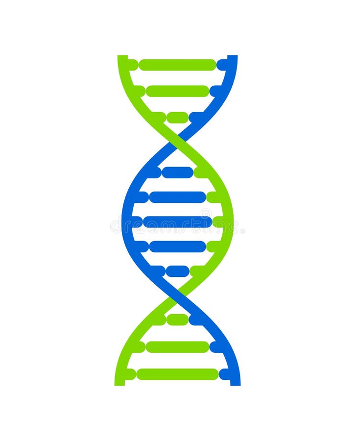 Abstract DNA Strand Symbol. Isolated on White Background. Vector ...