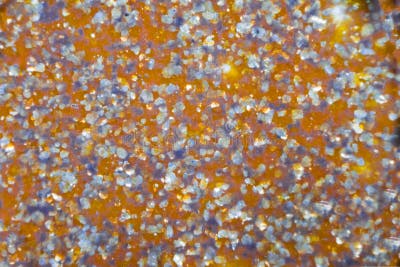 597 Micro Dots Texture Stock Photos - Free & Royalty-Free Stock Photos ...