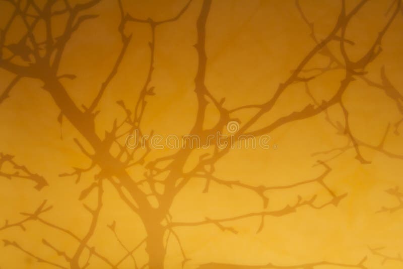 Abstract downlight wall stock image. Image of interior - 28084651