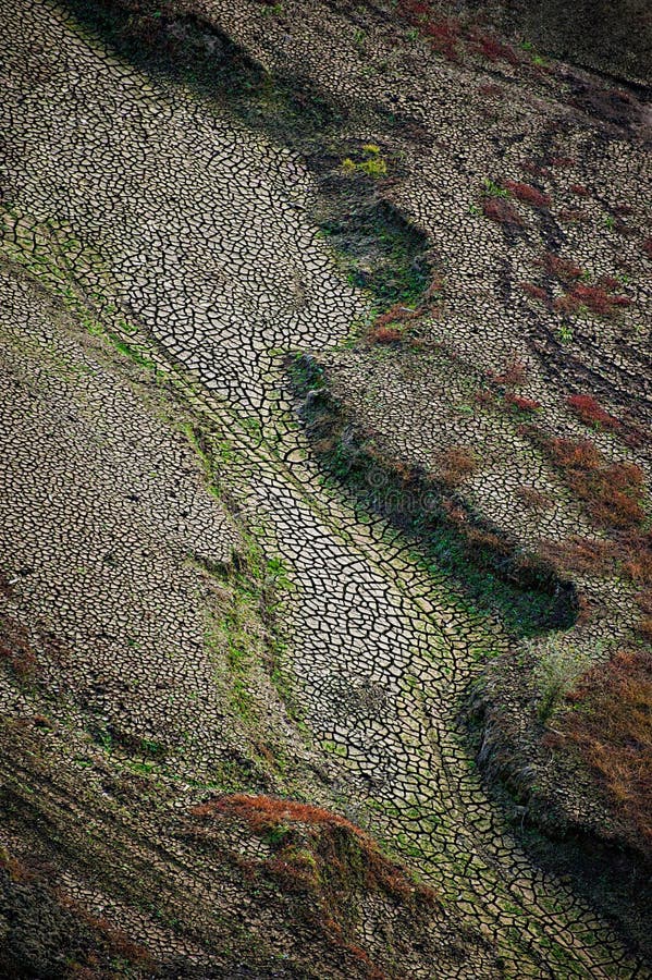 Abstract dry soil textures stock photo. Image of background - 179953052