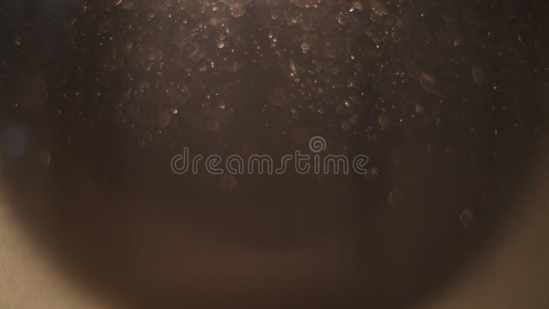 Dust in the Morning Sun Light Stock Footage - Video of dust, bokeh ...