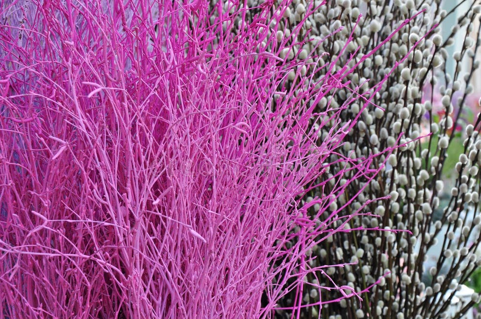 Abstract easter texture stock photo. Image of twigs, color - 28036820