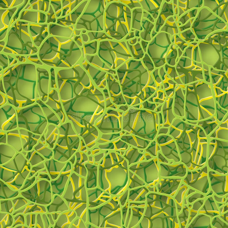 Abstract Elegant Cell Texture. Paper Cut Cobweb, 3d Tile Surface Stock ...