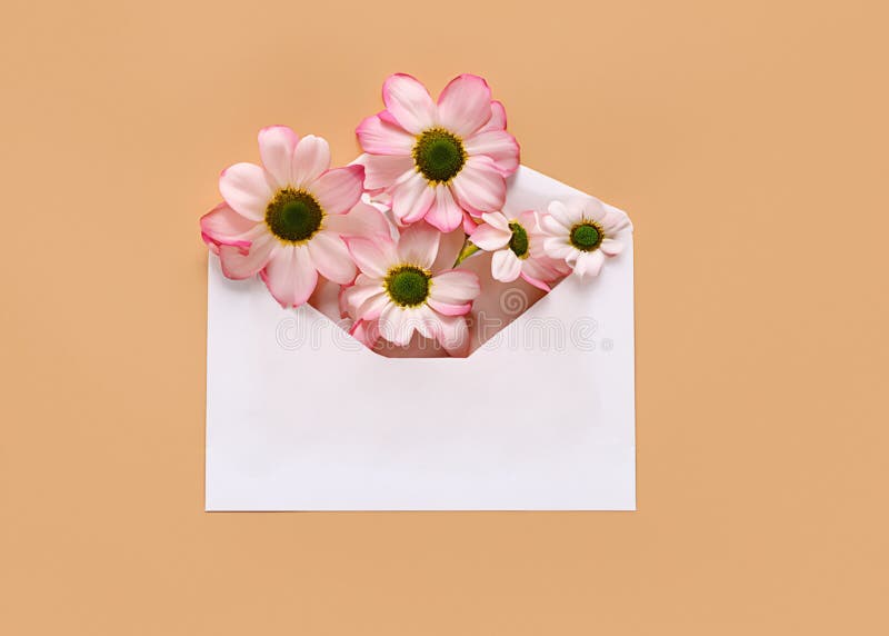 Abstract Empty Envelope with Blank Letter and Flowers Inside, Design or ...