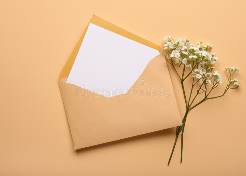 Abstract Empty Envelope with Blank Letter and Flowers Inside, Design or ...