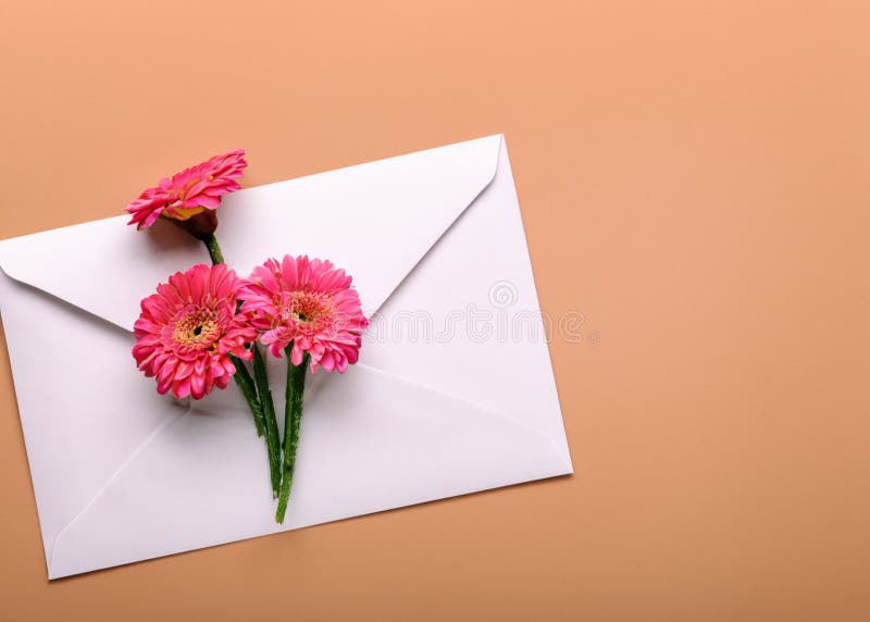 Abstract Empty Envelope with Blank Letter and Flowers Inside, Design or ...