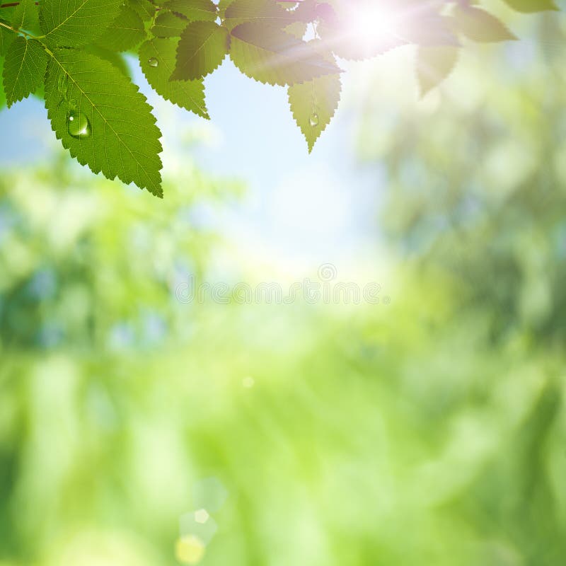 Abstract Environmental Backgrounds Stock Image - Image of organic ...