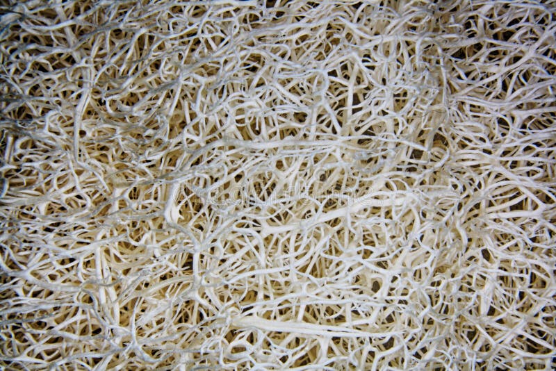 Abstract exotic background stock image. Image of texture - 88028443