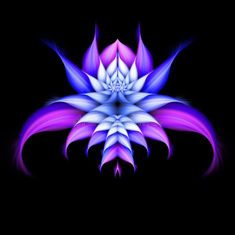 Black Abstract Flower Backgrounds