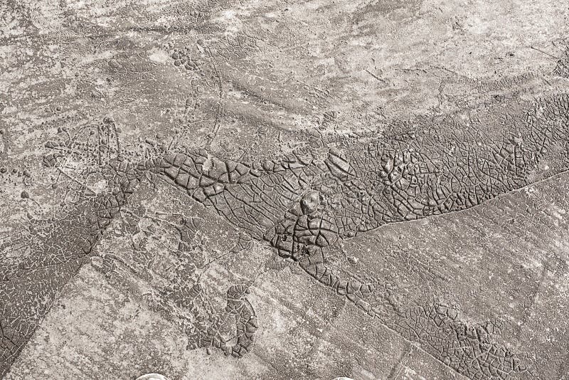 Abstract Extreme Textures Surface Background Closeup Stock Image ...