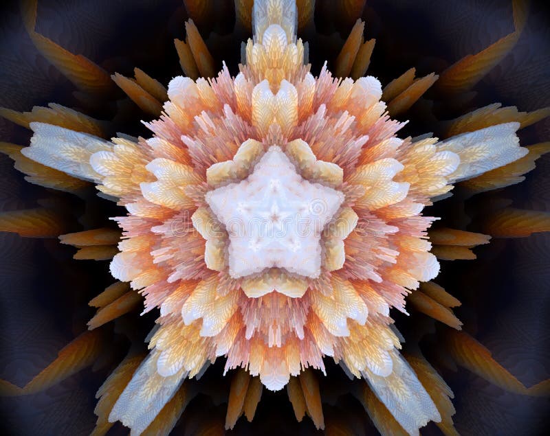 Sided Star Shape Stock Illustrations – 193 Sided Star Shape Stock ...