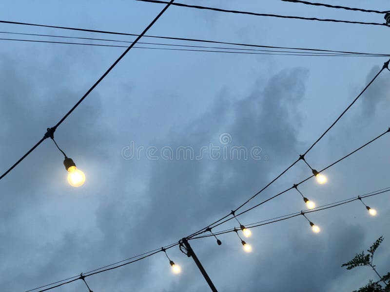 Abstract Fairylights in the Sky Stock Photo - Image of bright, branch ...