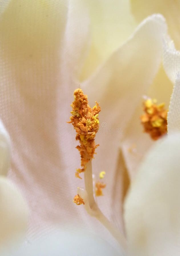 Abstract Fake Fabric Flower Flowers Stock Photo - Image of fake, fabric ...