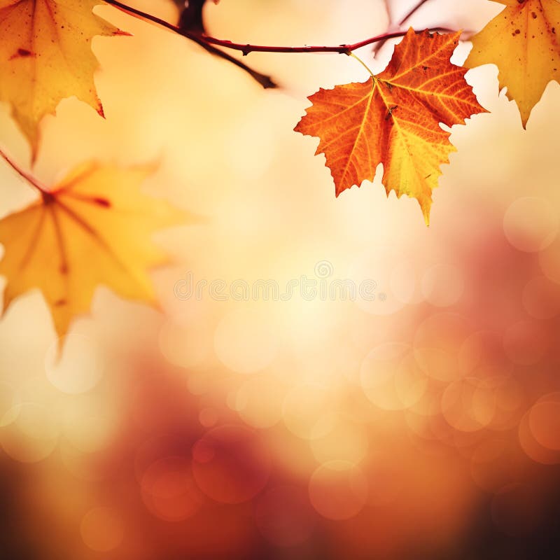 Abstract Fall Background with Maple Leaf, Seasonal Wallpapers Stock ...