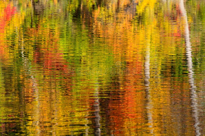 Abstract of Fall Color Reflections Stock Photo - Image of male, golden ...