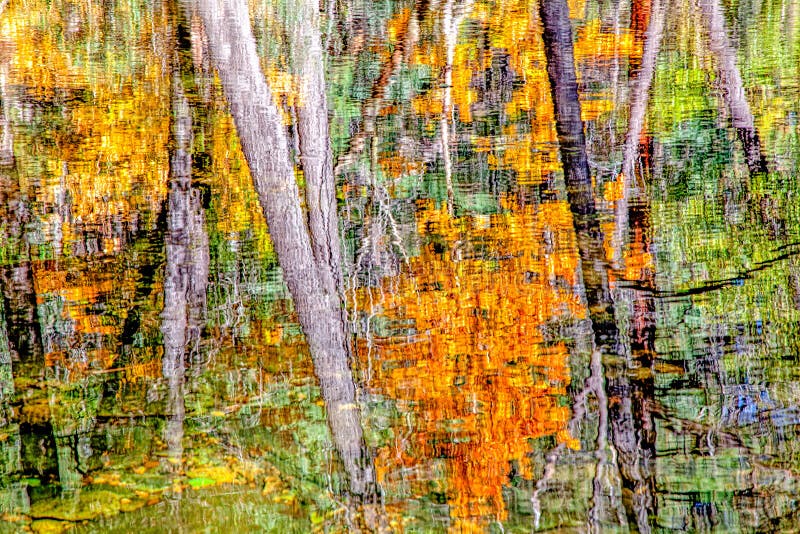 Abstract Fall Reflection stock image. Image of beauty - 50261959