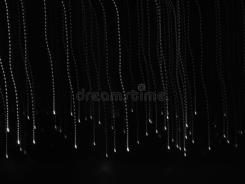 Abstract Falling White Lines Background. White Falling Stars Going Down ...