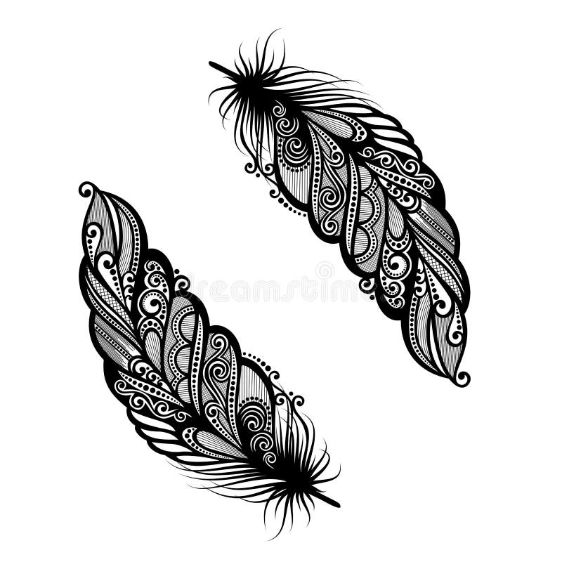 Abstract feather bird stock vector. Illustration of fragility - 34242918