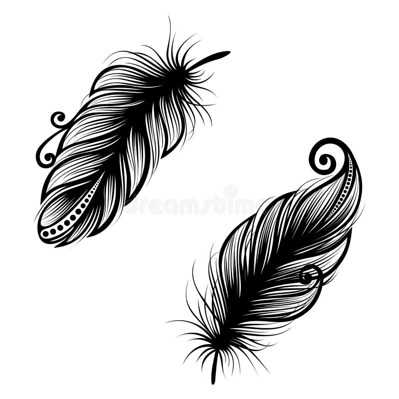 Abstract feather bird stock vector. Illustration of beauty - 34242942