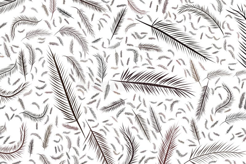 Abstract Feather Illustrations Background. Details, Texture, Graphic ...