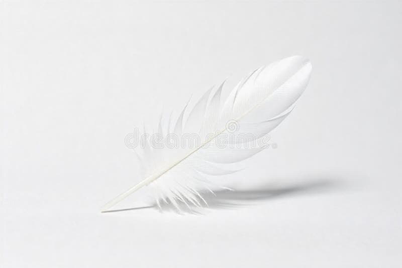 Abstract Single Feather Stock Illustrations – 11,362 Abstract Single ...