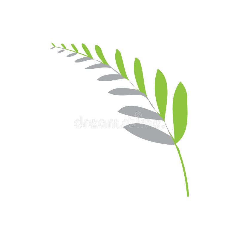 Fern leaf icon stock vector. Illustration of plant, sign - 122604362