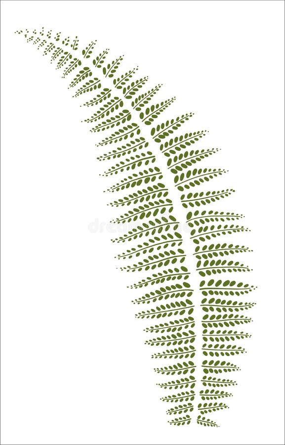 Abstract Fern Leaf. Interior Vertical Art. Illustration in Linear Style ...