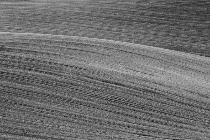 Abstract Field of Blue Neon Transforming Silhouettes of Squares on a ...