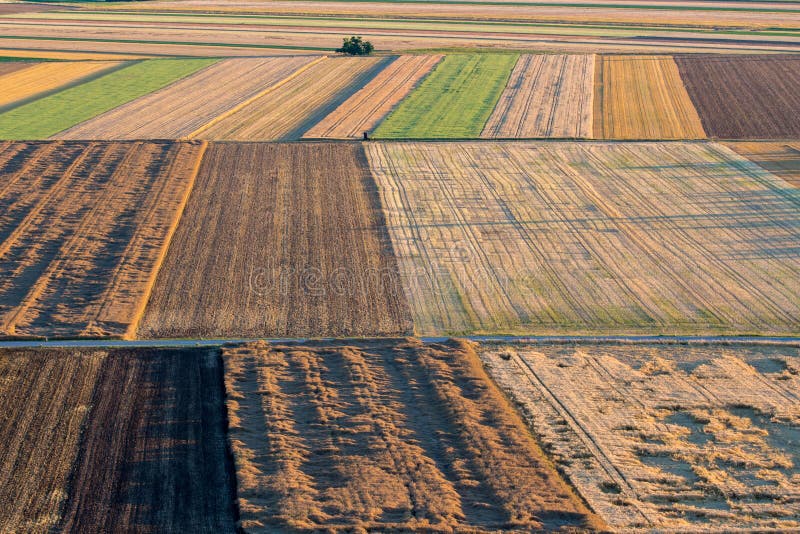 Abstract fields stock photo. Image of golden, meadow - 75413104
