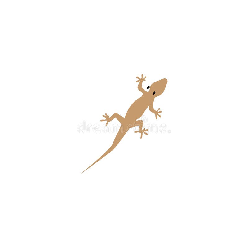 Lizard logo and vector stock vector. Illustration of design - 206482668
