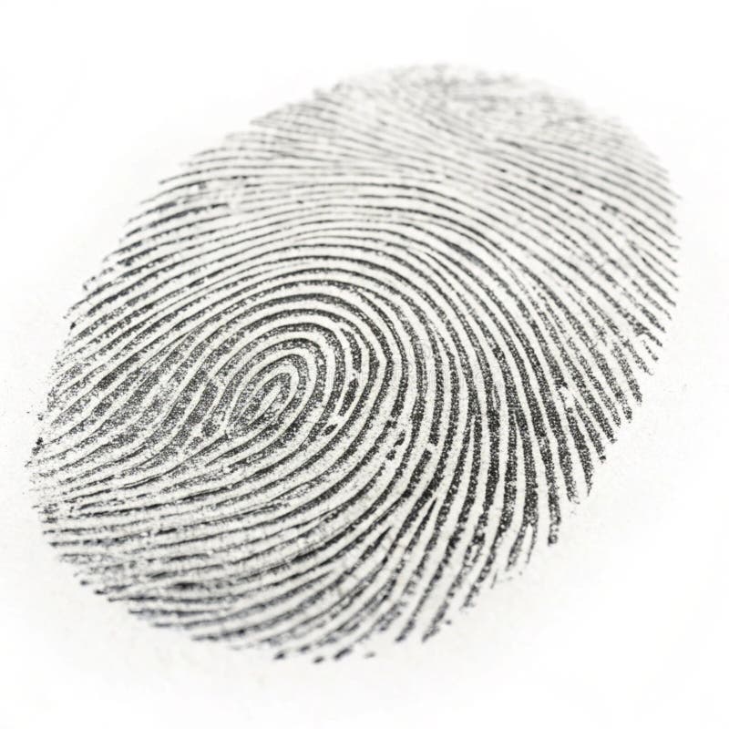 Abstract Fingerprint Texture Isolated on White Background Stock ...
