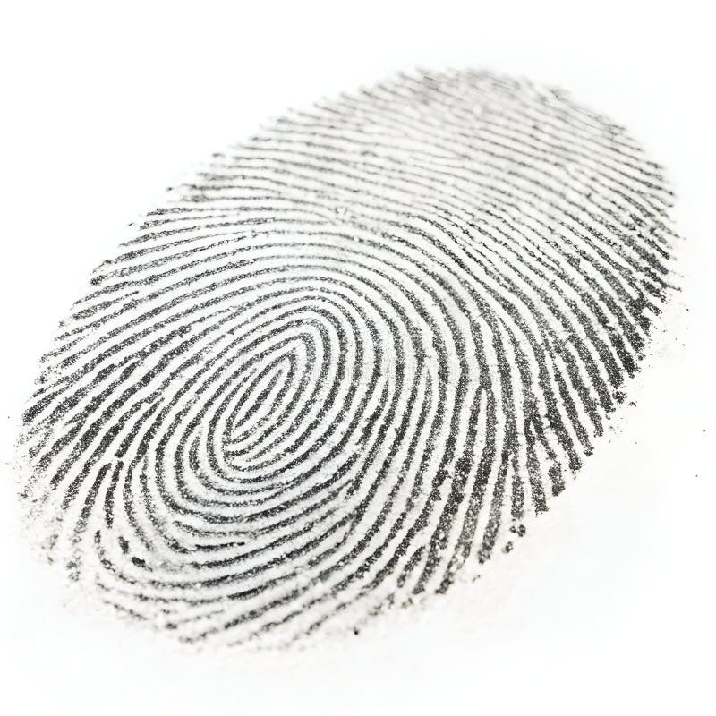 Abstract Fingerprint Texture Isolated on White Background Stock ...