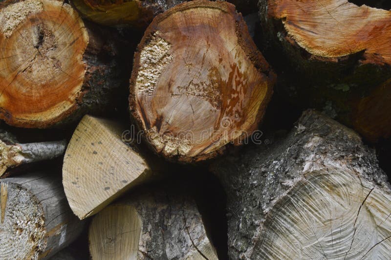 Abstract Fire Wood Textures Surface Background Closeup Stock Image ...