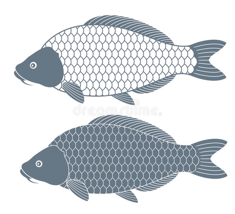 Abstract Fish. stock vector. Illustration of blue, freshwater - 77797447