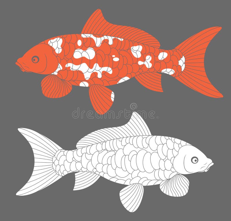 Abstract Fish stock vector. Illustration of freshwater - 80341599
