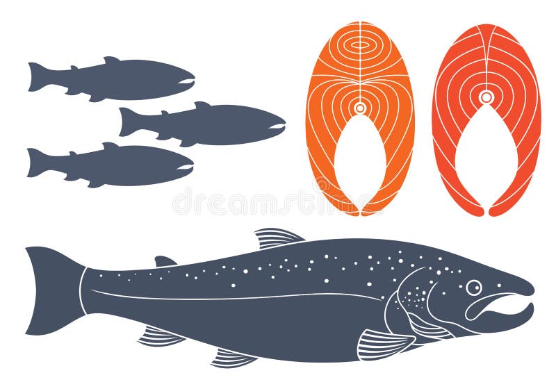Abstract Salmon stock vector. Illustration of fish, element - 77140735