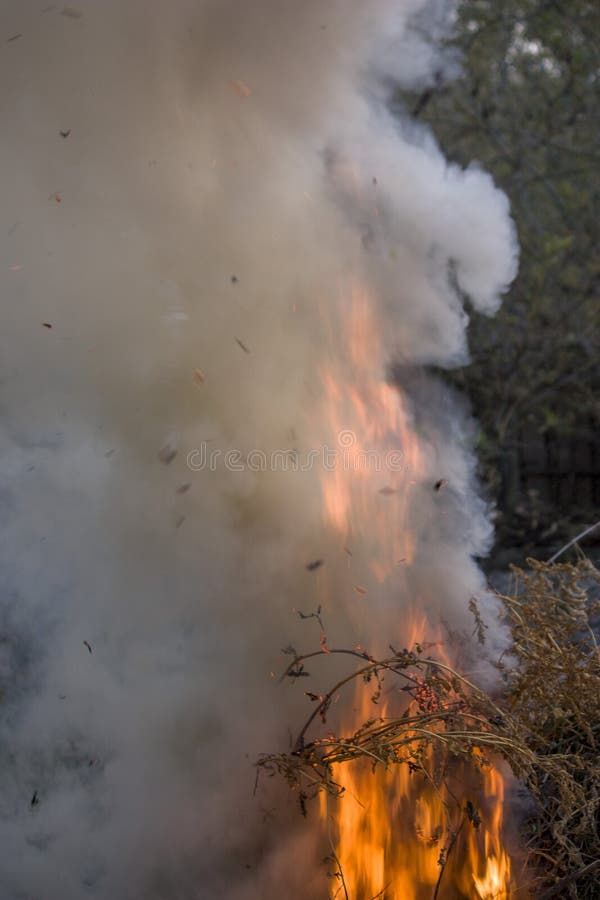 Abstract Flame of Fire, Flame of Fire Flame Texture for Banner ...