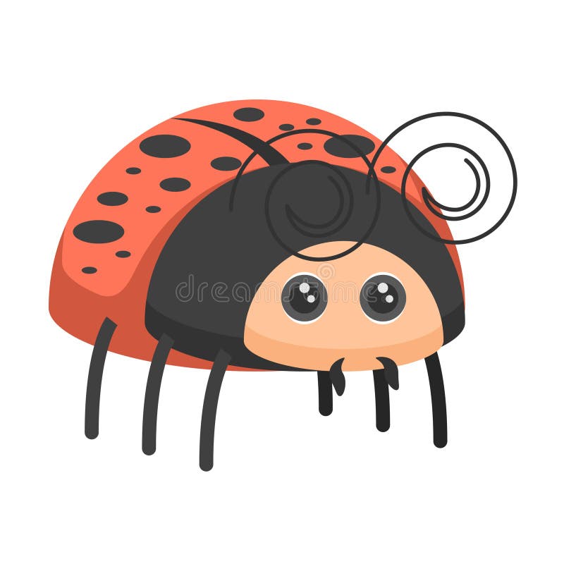 Abstract Flat Cartoon Different Animal Insect Ladybug Vector Design ...