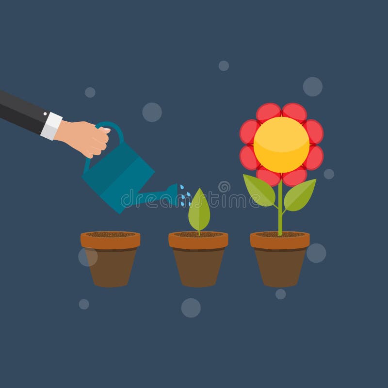 Maturing Stages Stock Illustrations – 42 Maturing Stages Stock ...