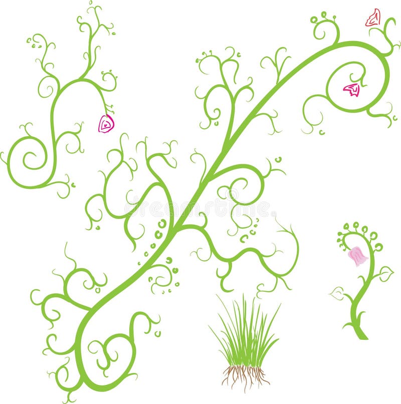 Abstract Flora Elements Stock Vector Illustration Of Decorative 9157327