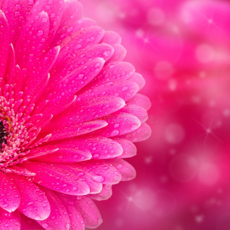 Pink New Year Abstract Background Stock Illustration - Illustration of ...