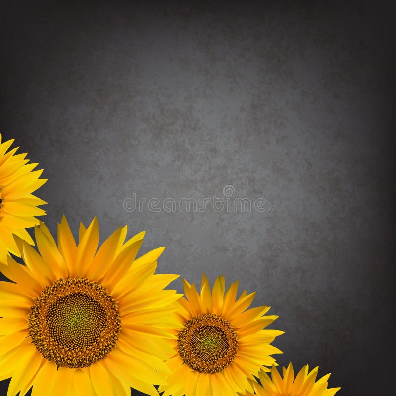 Abstract Floral Background with Sunflower Stock Vector - Illustration ...