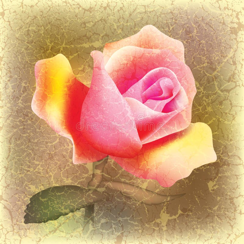 Abstract Floral Illustration Stock Vector - Illustration of nature ...