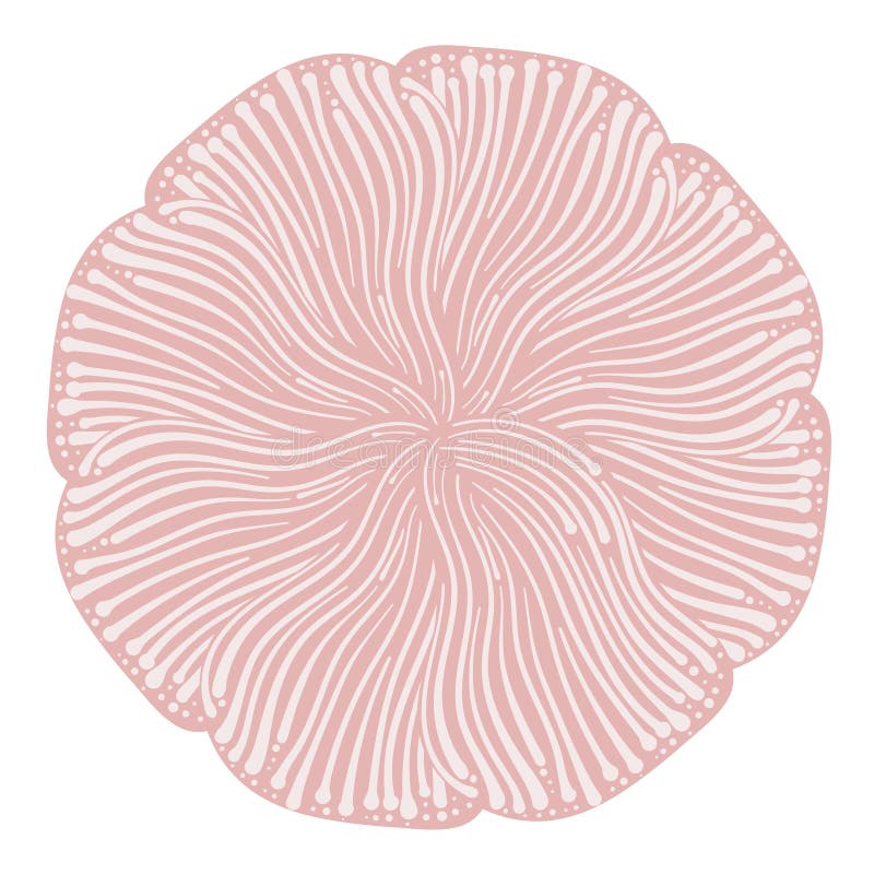 Abstract Floral Shape. Vector Graphic Design Element Stock Vector ...