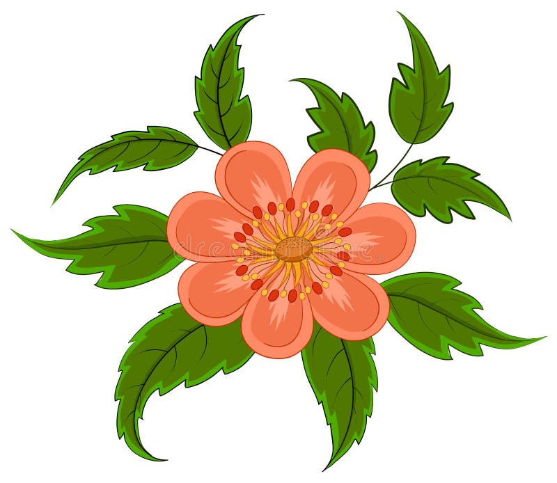 Abstract flower, outline stock vector. Illustration of isolated - 25717022 Abstract flower, outline stock vector. Illustration of isolated - 25717022