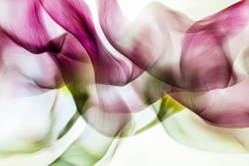 Abstract Flowing Colors - Dynamic and Ethereal Art in Motion Stock ...