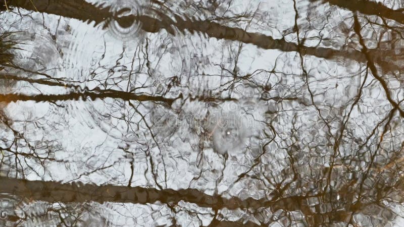 Abstract Footage of Reflection on Water in Puddle at Rainy Weather ...