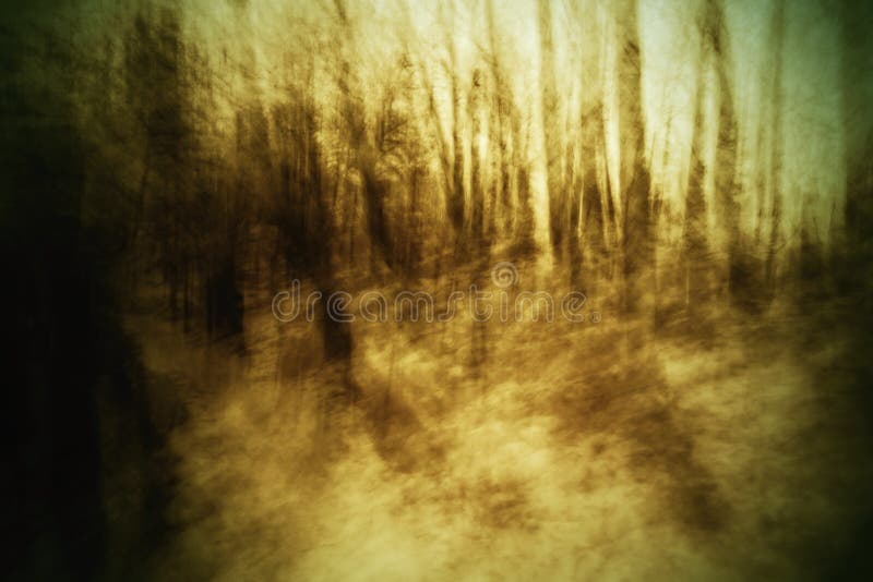 Abstract forest stock photo. Image of pattern, natural - 209509564